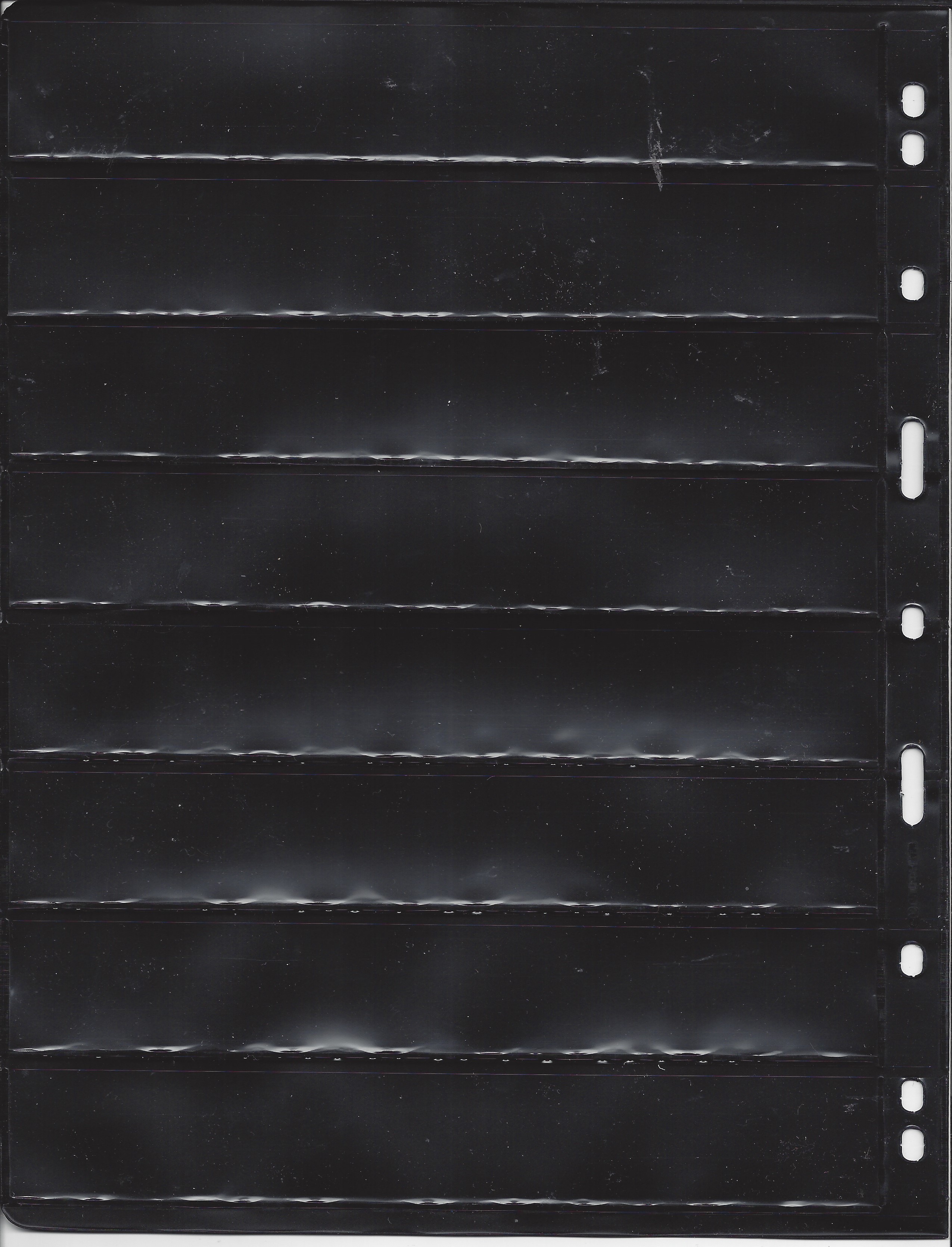 Supersafe/Showgard Stock Sheets S8 Two-Sided Eight Pocket Black (Vario ...